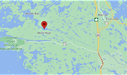 POSSIBLE DROWNING NEAR MOOSE DEER POINT FIRST NATION FRIDAY - Muskoka Today