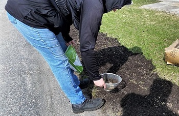 DIGGING IN ON EARTH DAY SEEDS POSITIVE PLANETARY PATHWAY - Muskoka Today